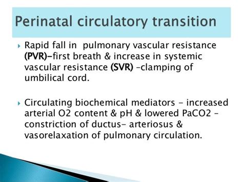 Persistent Fetal Circulation