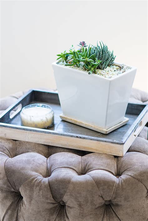 Michelle Glantz Ph D