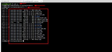 cara cek directory file document root vps wordpress app catalog idcloudhost