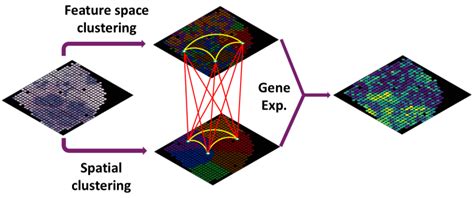 論文レビュー Merge Multi Faceted Hierarchical Graph Based Gnn For Gene