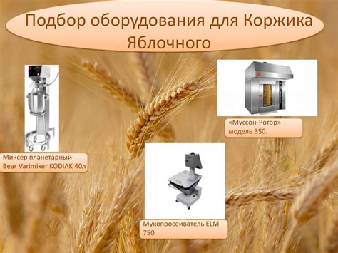 Проектирование пекарни малой мощности с организацией технологического