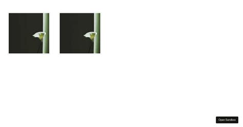 VueJS VueSelectImage Forked Codesandbox