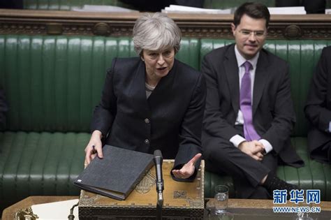 特雷莎·梅：“脱欧”时间将取决于英国议会决定