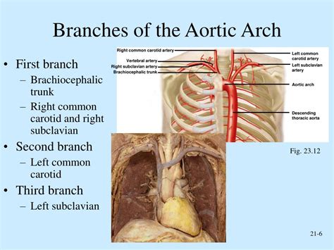 Ppt Lecture 18 Powerpoint Presentation Free Download Id2908493