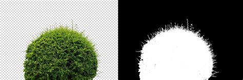 Clipping Mask Shapes Stock Photos Images And Backgrounds For Free Download
