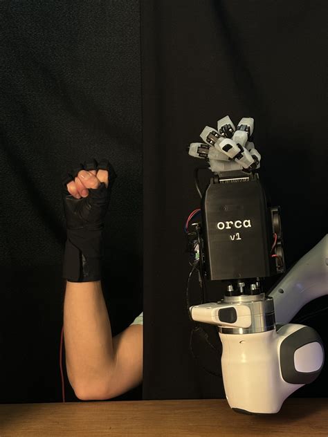Orca Hand