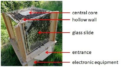 Technologies HIVEOPOLIS