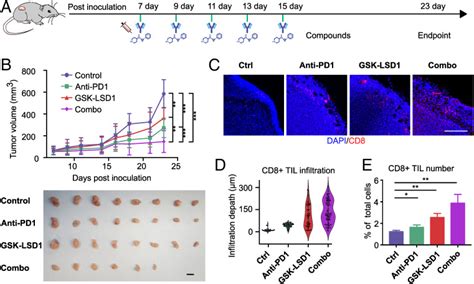 Microfluidics Guided By Deep Learning For Cancer Immunotherapy