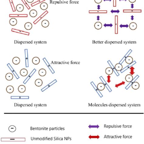 Repulsion And Attraction Between Bentonite Particles And A Unmodified Download Scientific