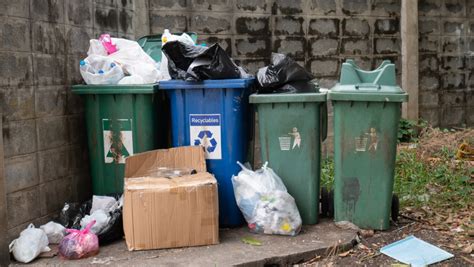 Why Is It Dangerous Not To Have Your Garbage Bins Cleaned Pressure King