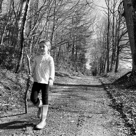 Ribbies Clippies Home