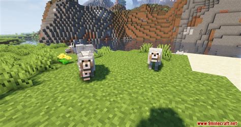 Shiny S Entity Models Plus Resource Pack 1 19 2 1 18 2 Texture Pack Mc Mod Net