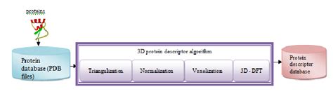 Protein Descriptor Generation Process Download Scientific Diagram