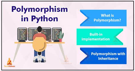 Polymorphism In Python With Examples Techvidvan