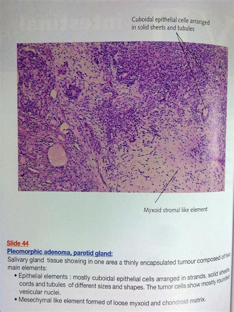 Histopathology Atlas