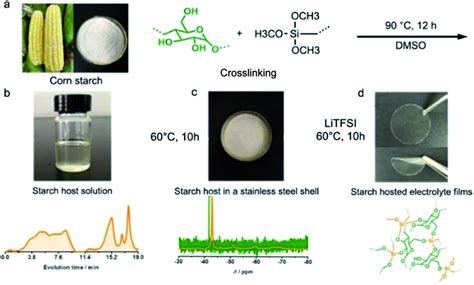 A Schematic Diagram Of Starch Host Synthesis B The Digital Image