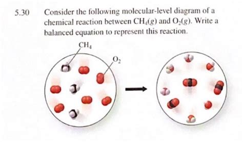 Solved Consider The Following Molecular Level Diagram Of A