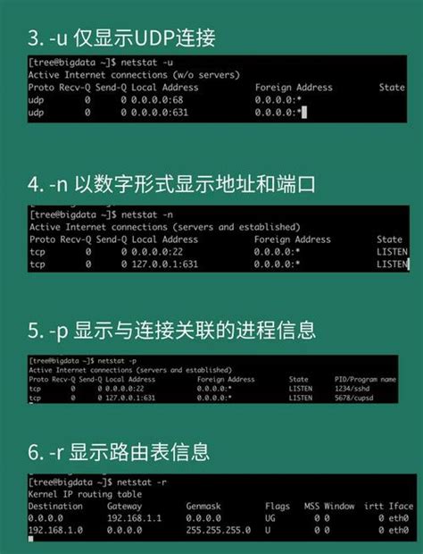 linux 命令 netstat Netstat监控TCP IP网络的实用工具及输出信息介绍 Linux命令大全 手册