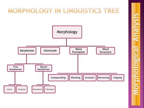 1 Morphology In Linguistics Treepptxafafaf Ppt