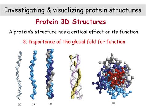 ppt bioinformatics of proteins sequence structure and the