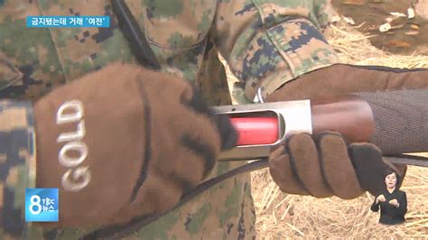 가축 전염병 비상인데 Sns 멧돼지 고기 판매