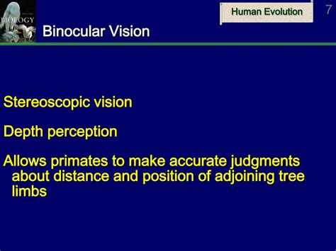 Ppt Outline Powerpoint Presentation Free Download Id1466205