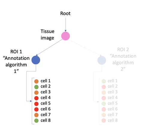 Showhide Annotations Belonging To Certain Parts Of Hierarchy In Qupath Usage And Issues Image