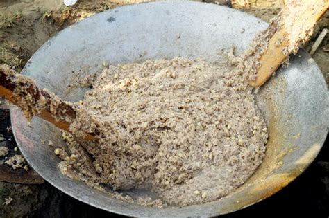 ရခိုင်ပြည်နယ် မောင်တောမြို့၌ ပထမအကြိမ် မြန့်မာရိုးရာ ထမနဲထိုးပြိုင်ပွဲကျင်းပပြုလုပ