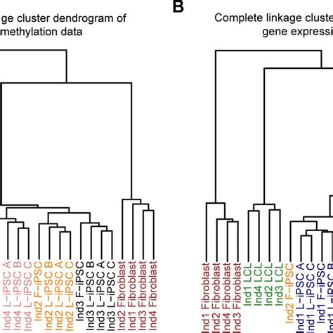 Hierarchical Clustering And Principal Components Analysis Hierarchical