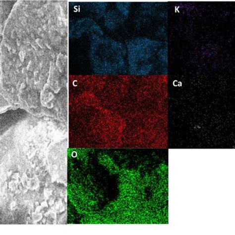 Mapping Analysis From Edx Using Scanning Electron Microscopy Of Download Scientific Diagram