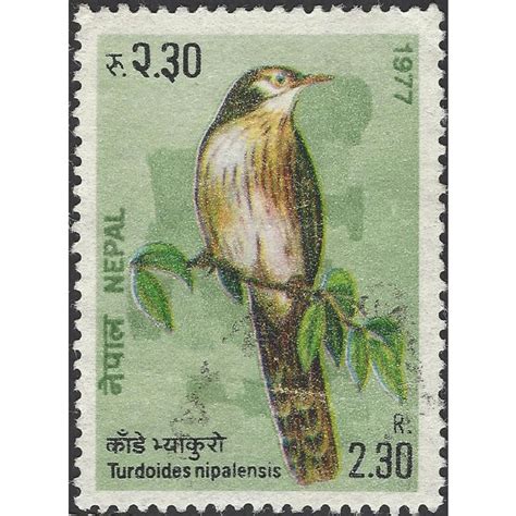 Nepal Bird Spiny Babbler Green 1977 R2 30 On Ebid United States