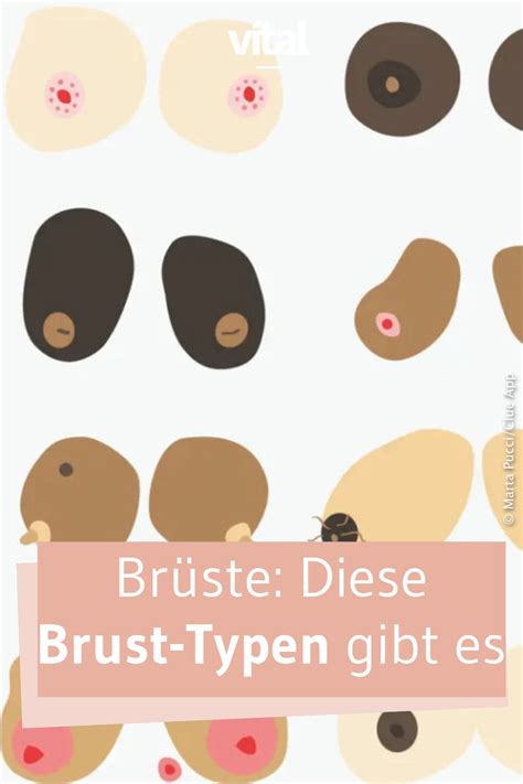 Brustformen Diese 7 Brust Typen gibt es Brust Brüste Größere brust