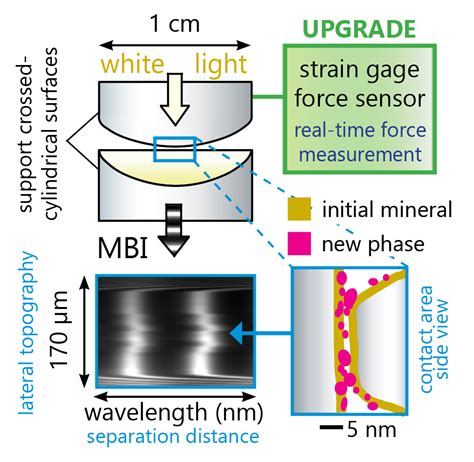 Reactivity Under Confinement Njord