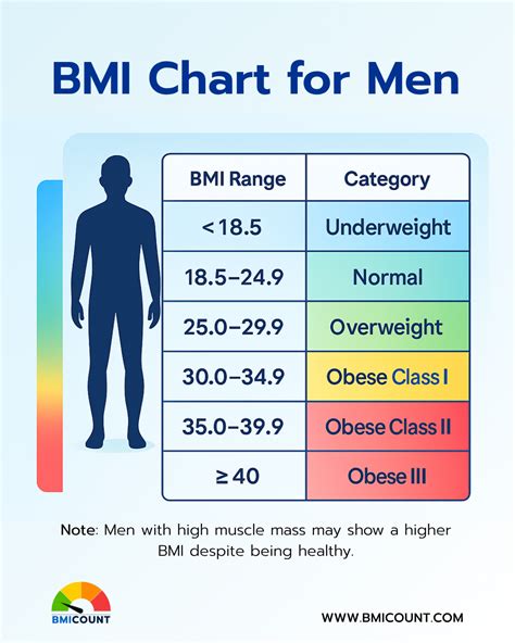 Modern Bmi Charts Accurate Results Bmi Count