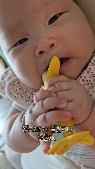 바나나치발기 4개월아기 Youtube