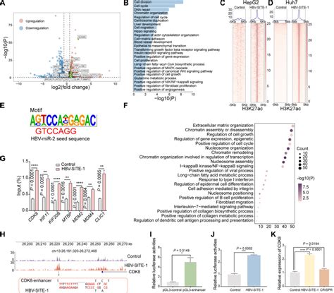 Hbv Sequence Integrated To Enhancer Acting As Oncogenic Driver