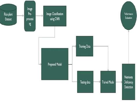 Figure 2 From Deep Learning Based Mobile Application For Nutrient Deficiency Identification Of