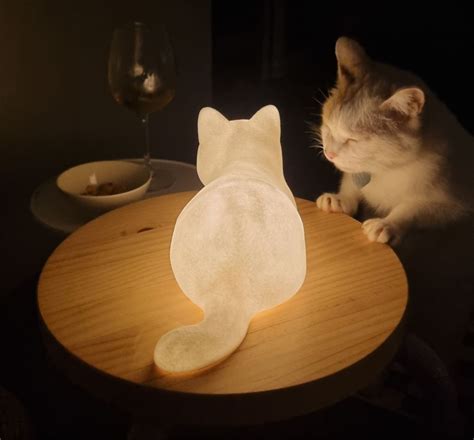 고양이와 함께 먹고 자고 놀고 배웁니다 텀블벅 크리에이터를 위한 크라우드펀딩