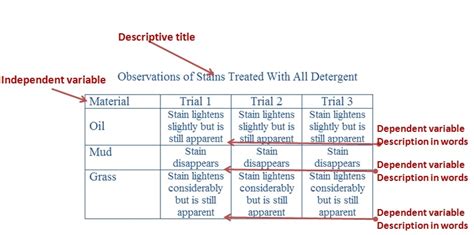 Data Table Babe Library Media Portfolio