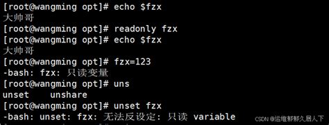 Shell的变量与赋值shell 变量赋值 Csdn博客