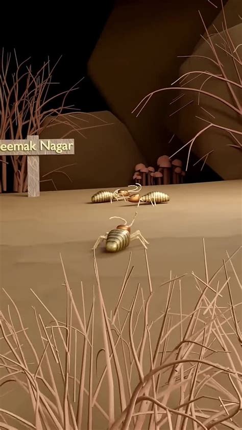 Create 3d Parametric Model Render And Script On Grasshopper Rhino An Sketchup By Nepalepam