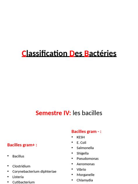 Classification Des Bacteries S3 Et S4 Pdf Gram Négatif Bactérie