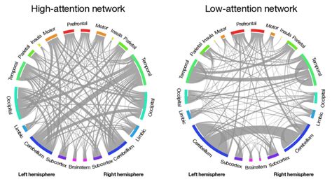 functional connections edges in the high attention and low attention