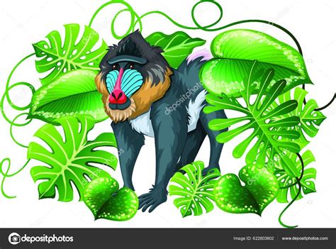 Baboon Green Leaves Stock Vector by ©YAY_Images 622803602
