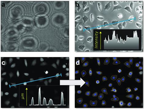 An Interference Pattern A Is Used To Reconstruct Holographic Images
