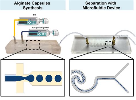 Figure 2 From Low Cost Inertial Microfluidic Device For Microparticle