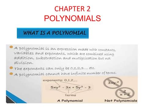 Class X Maths Polynomials Ppt