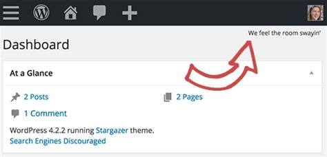 What Is The Hello Dolly Wordpress Plugin Should You Delete It