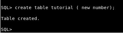 Enable DDL Logging In Oracle With Examples Dot Net Tutorials
