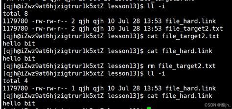 【linux】基础io文件系统 Csdn博客
